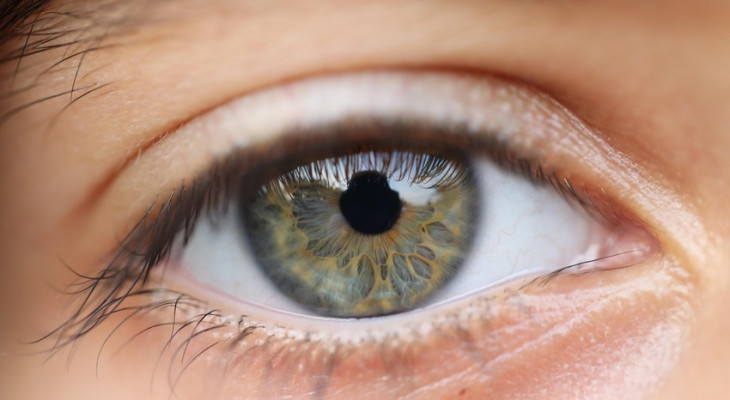swimming-pool-infections-the-hidden-eye-risks-this-summer-bw